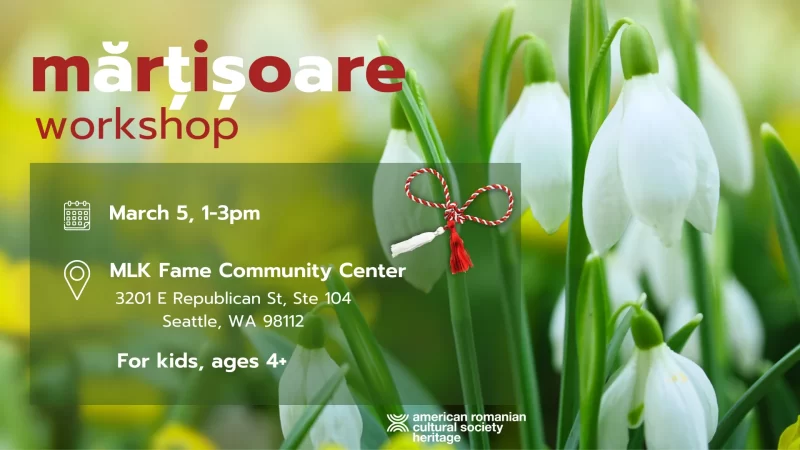 Education Arcs Project